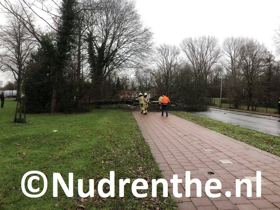 Afgesloten weg vanwege Scheefstaande boom in Meppel - Numeppel