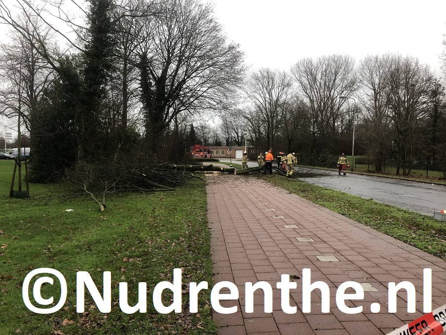 Afgesloten weg vanwege Scheefstaande boom in Meppel - Numeppel