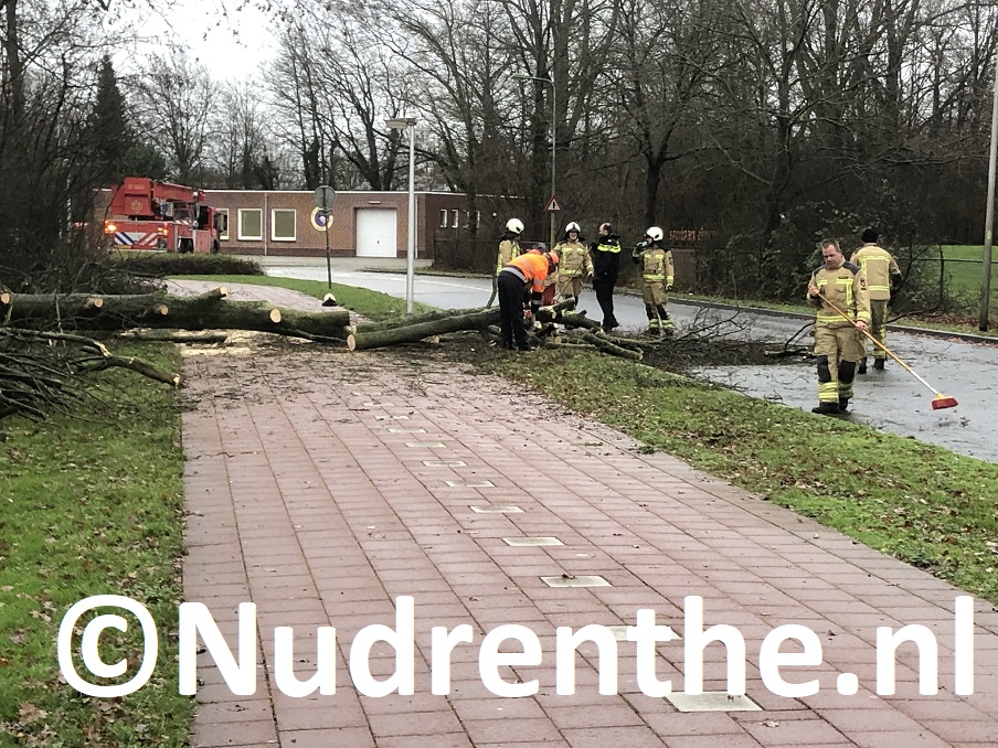 Afgesloten weg vanwege Scheefstaande boom in Meppel - Numeppel