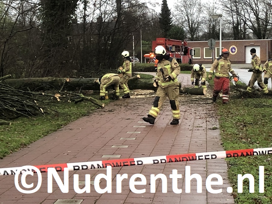 Afgesloten weg vanwege Scheefstaande boom in Meppel - Numeppel