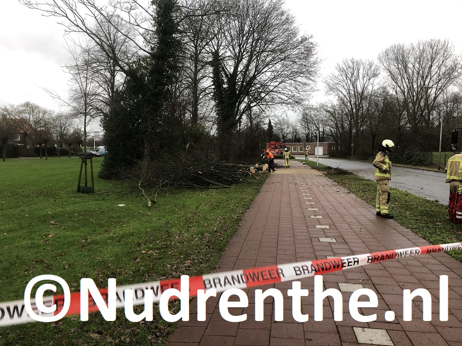 Afgesloten weg vanwege Scheefstaande boom in Meppel - Numeppel