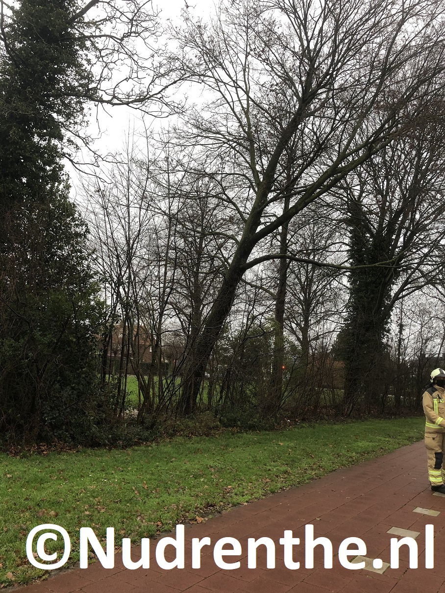 Afgesloten weg vanwege Scheefstaande boom in Meppel - Numeppel
