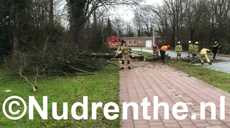 Storm Bella velt boom aan de Ambachtsweg in Meppel. - Numeppel