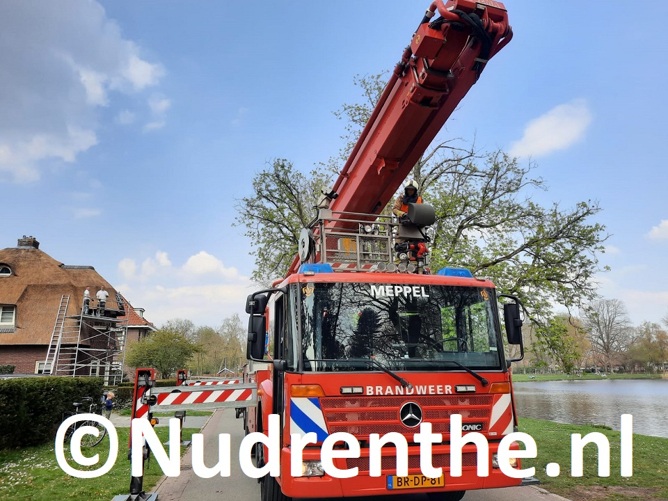 Vogel vast in een boom met visdraad om zich heen in het Wilhelminapark ...