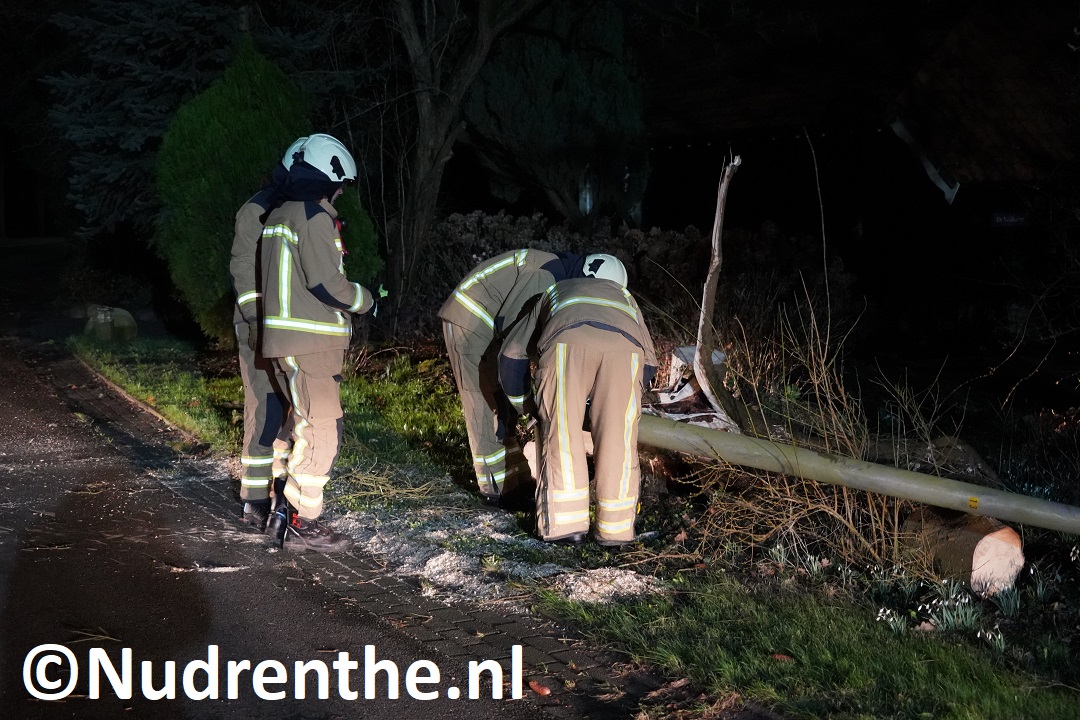 Lantaarnpaal en boom over de N371 Steenwijkerstraatweg in Meppel - Numeppel