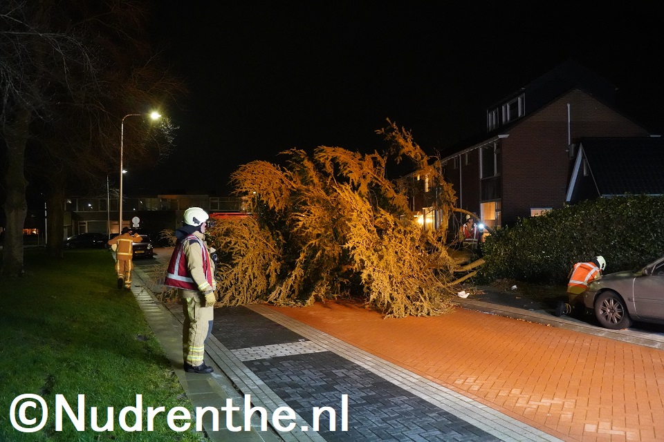 UPDATE: Omgevallen boom verspert Nicholaes Maesstraat in Meppel (Foto's ...