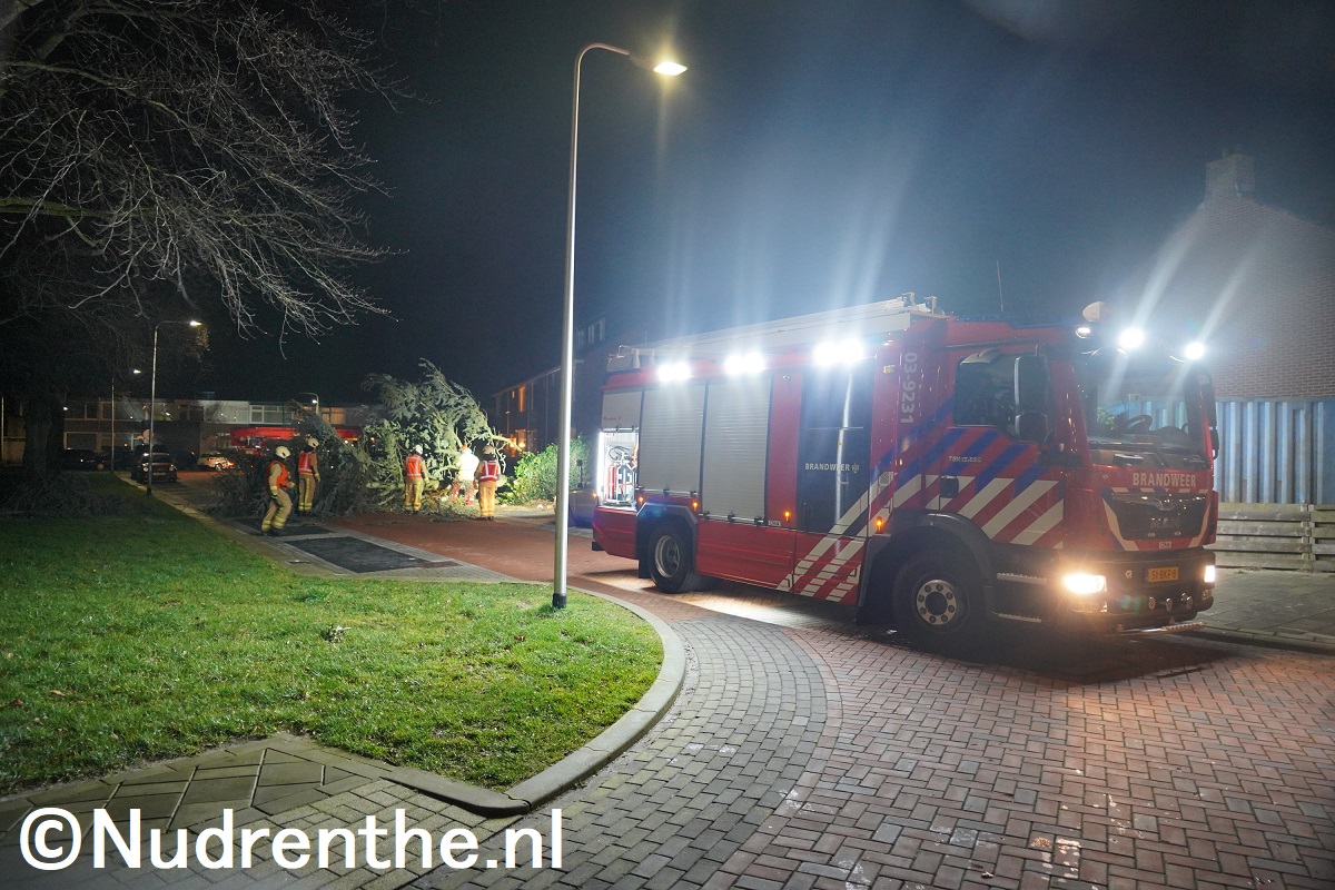 UPDATE: Omgevallen boom verspert Nicholaes Maesstraat in Meppel (Foto's ...
