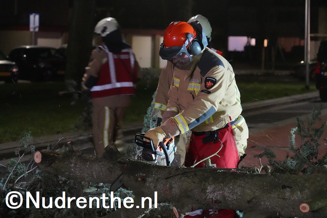 UPDATE: Omgevallen boom verspert Nicholaes Maesstraat in Meppel (Foto's ...