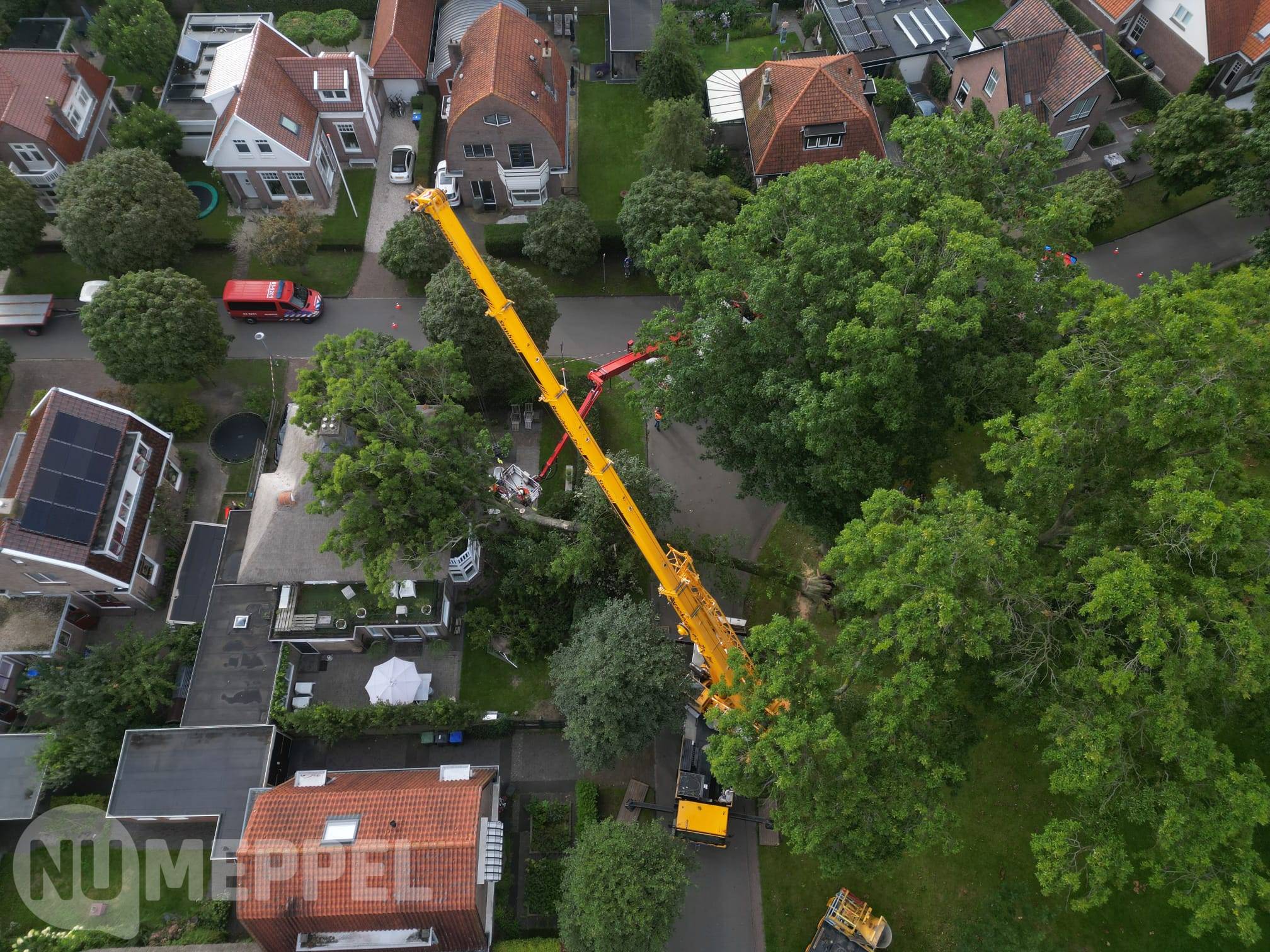 Omgevallen boom op huis was kwestie van tijd in Meppel - Numeppel