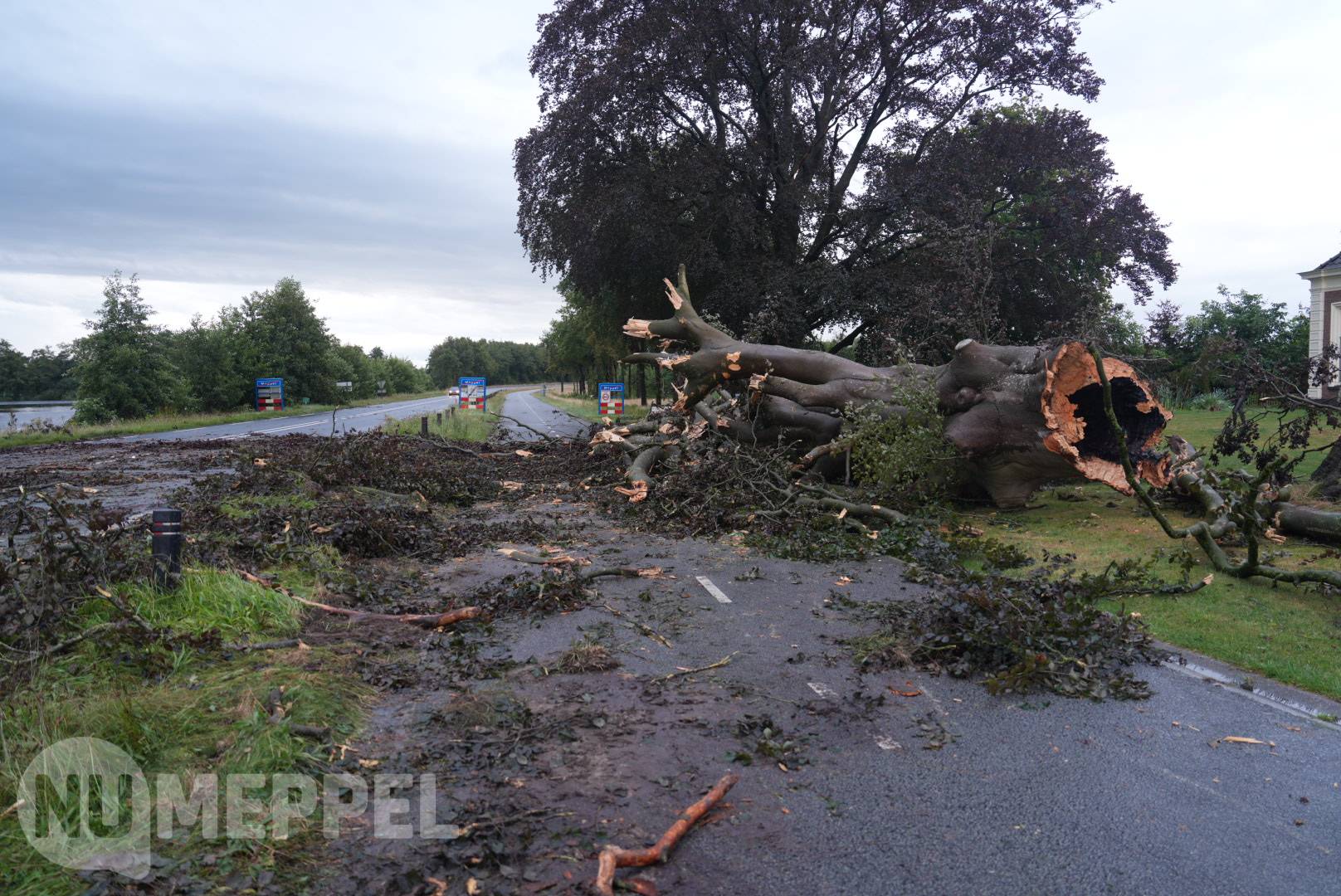 Boom blokkeert N851 Hoogeveenseweg in Meppel - Numeppel