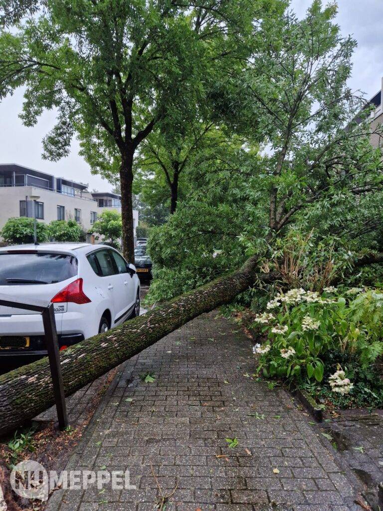 Korte, heftige storm in Meppel; takken op de weg, omgevallen bomen op ...